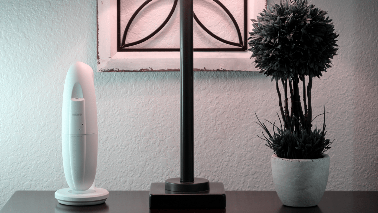 Amazer Plus | Phoenicia Essence