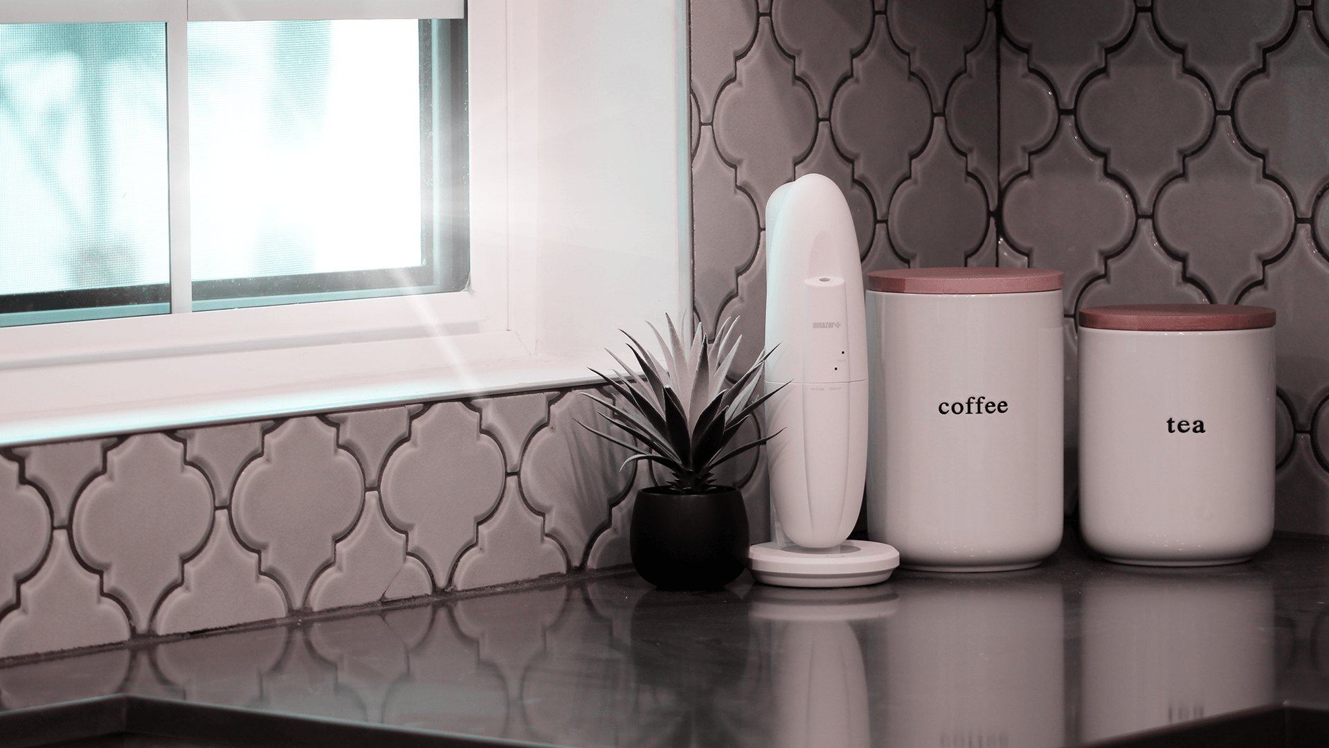 Amazer Plus | Phoenicia Essence