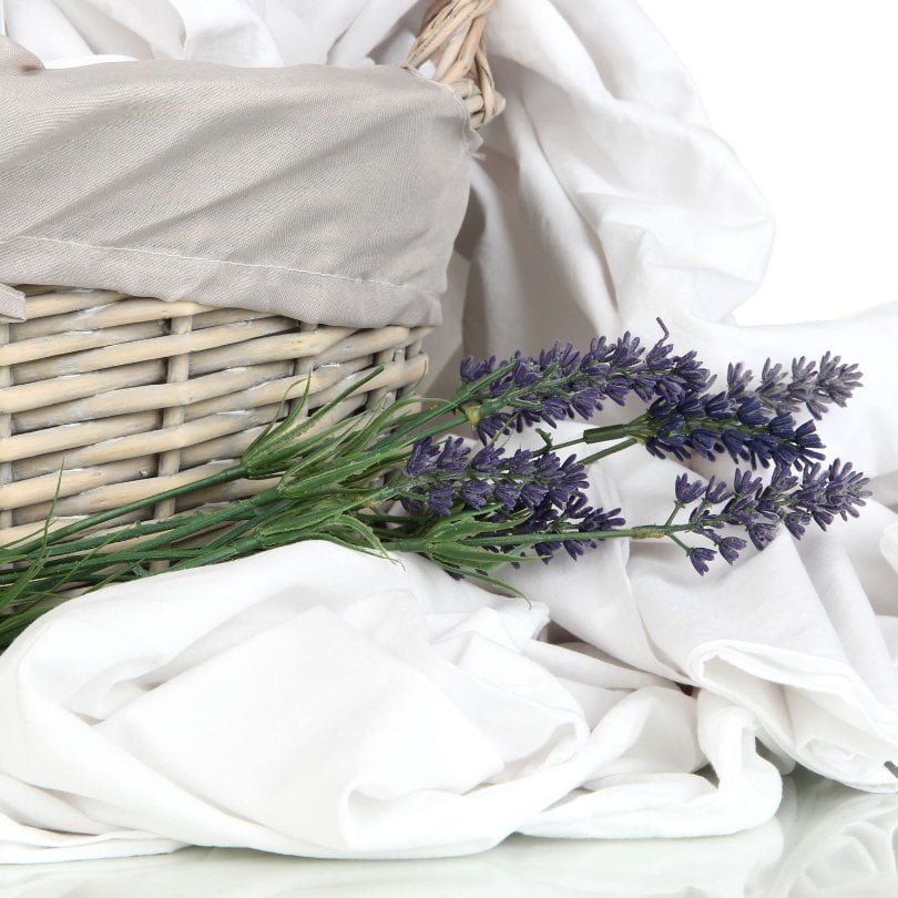 Gain Sample - Phoenicia Essence