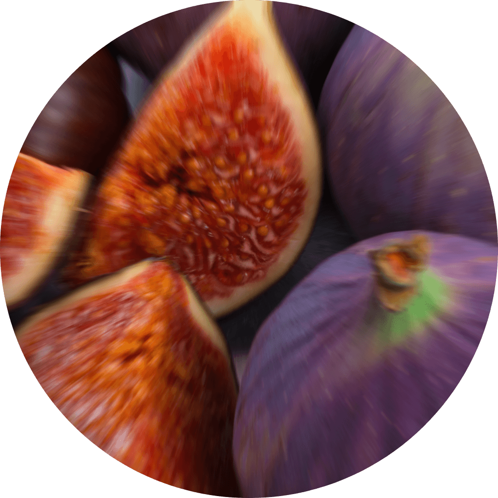 Mission Fig - Sample - Phoenicia Essence